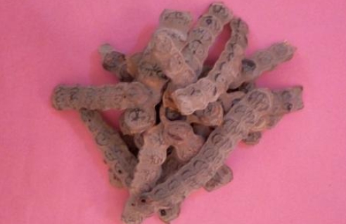 Fruit de l’acacia nilotica ou Nep Nep – MYBEST