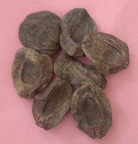 Lakota ou fruit miracle Goron Tula – MYBEST